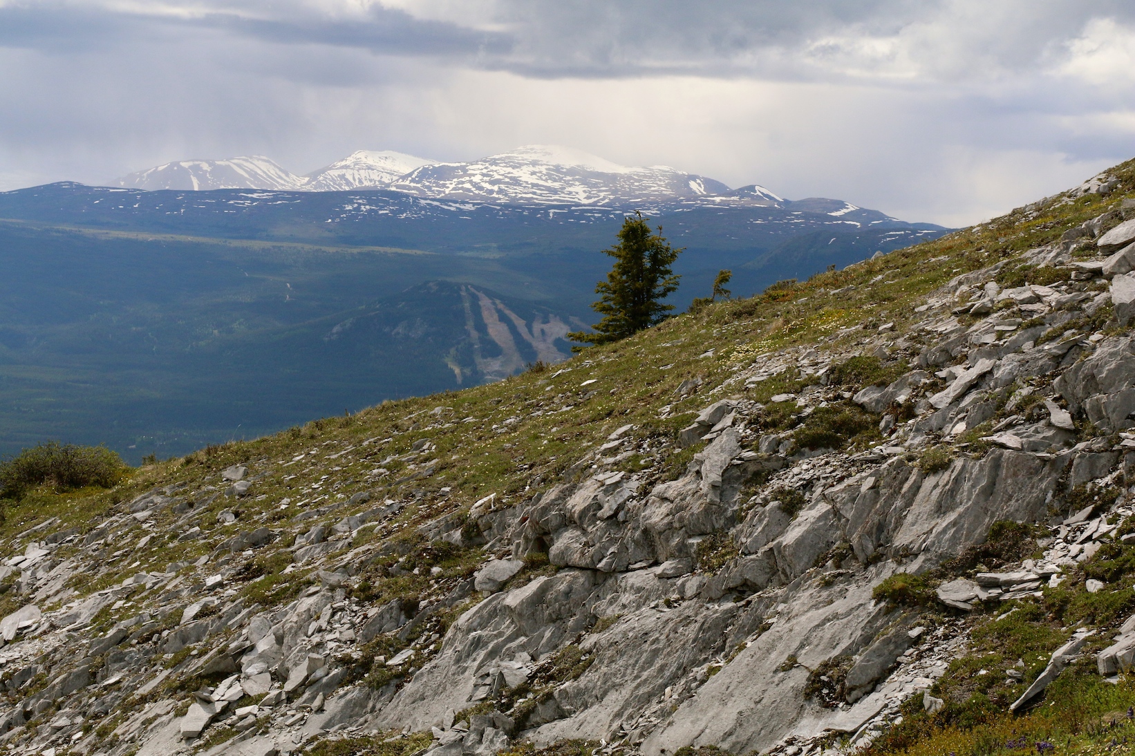 Hiking Grey Mountain, Whitehorse, YT | Our Home Has 6 Wheels
