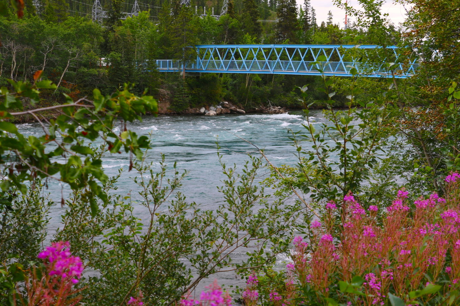 PADDLING THE YUKON RIVER – Our Home Has 6 Wheels