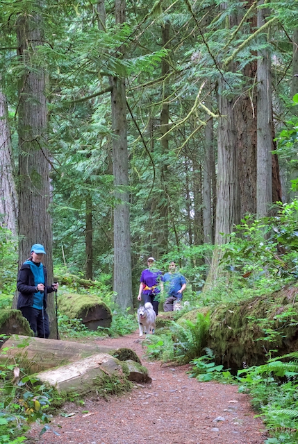 TRAIL ETIQUETTE: WHO HAS THE RIGHT OF WAY? - Our Home Has 6 Wheels